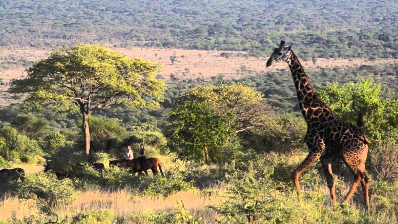 Kaskazi horse safaris - YouTube