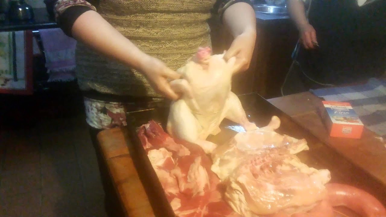 Baile del pollo - YouTube