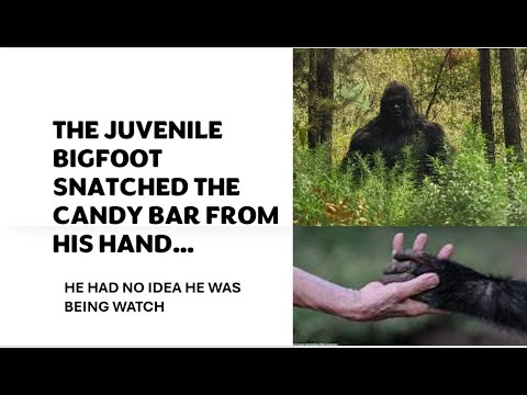 CHICKASAW PARK JUVENILE TAKES A CANDY BAR FROM HAND - YouTube