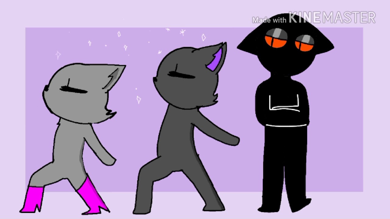 Cat clap meme - YouTube