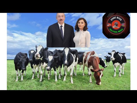 Cinayatkar İlham Əliyev.Xalqi sevmediyini sübut etdi.Siyasi blogger Elnur Aliyev