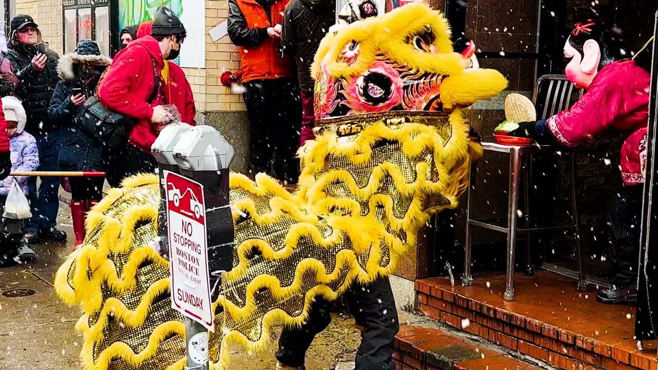Chinese Lunar New Year of the Tiger parade Lion Dance Buddha ...