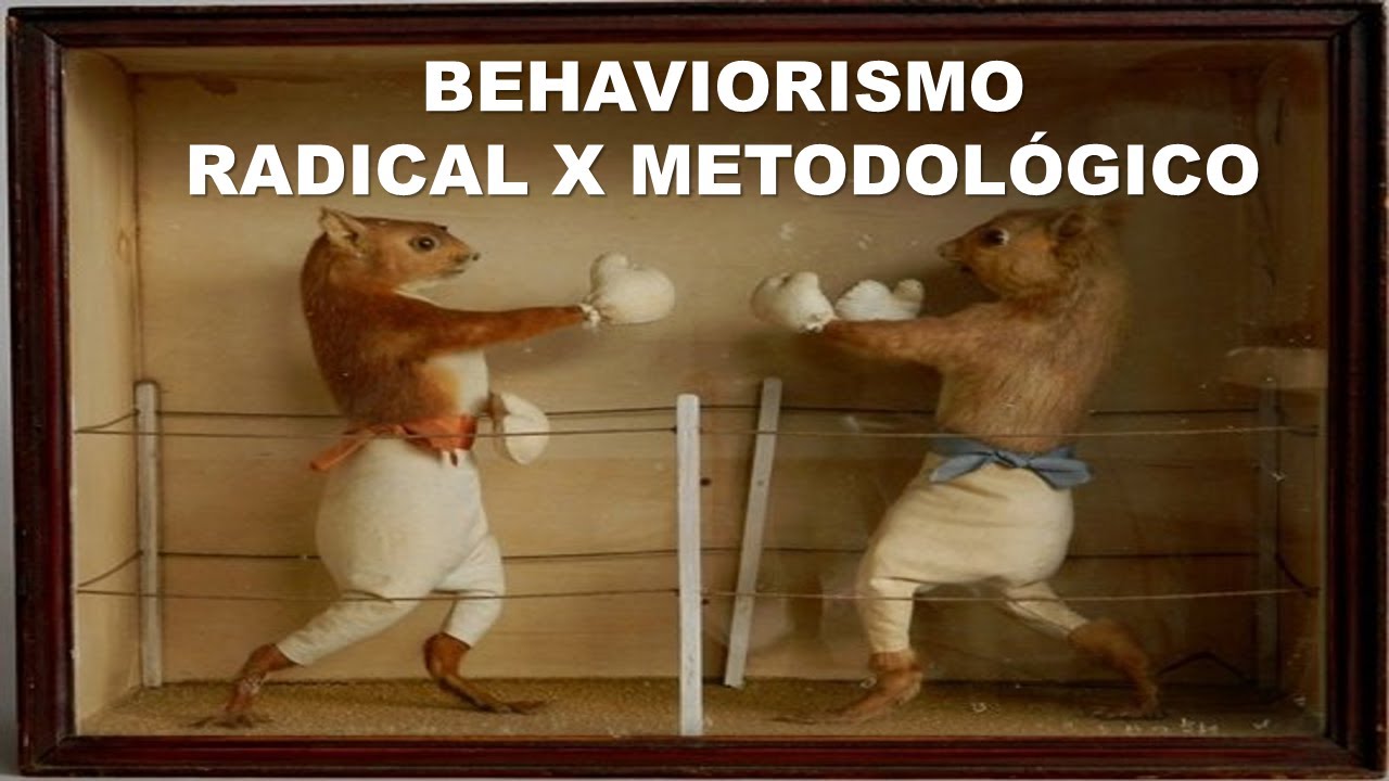 Behaviorismo Radical e behaviorismo metodológico - YouTube