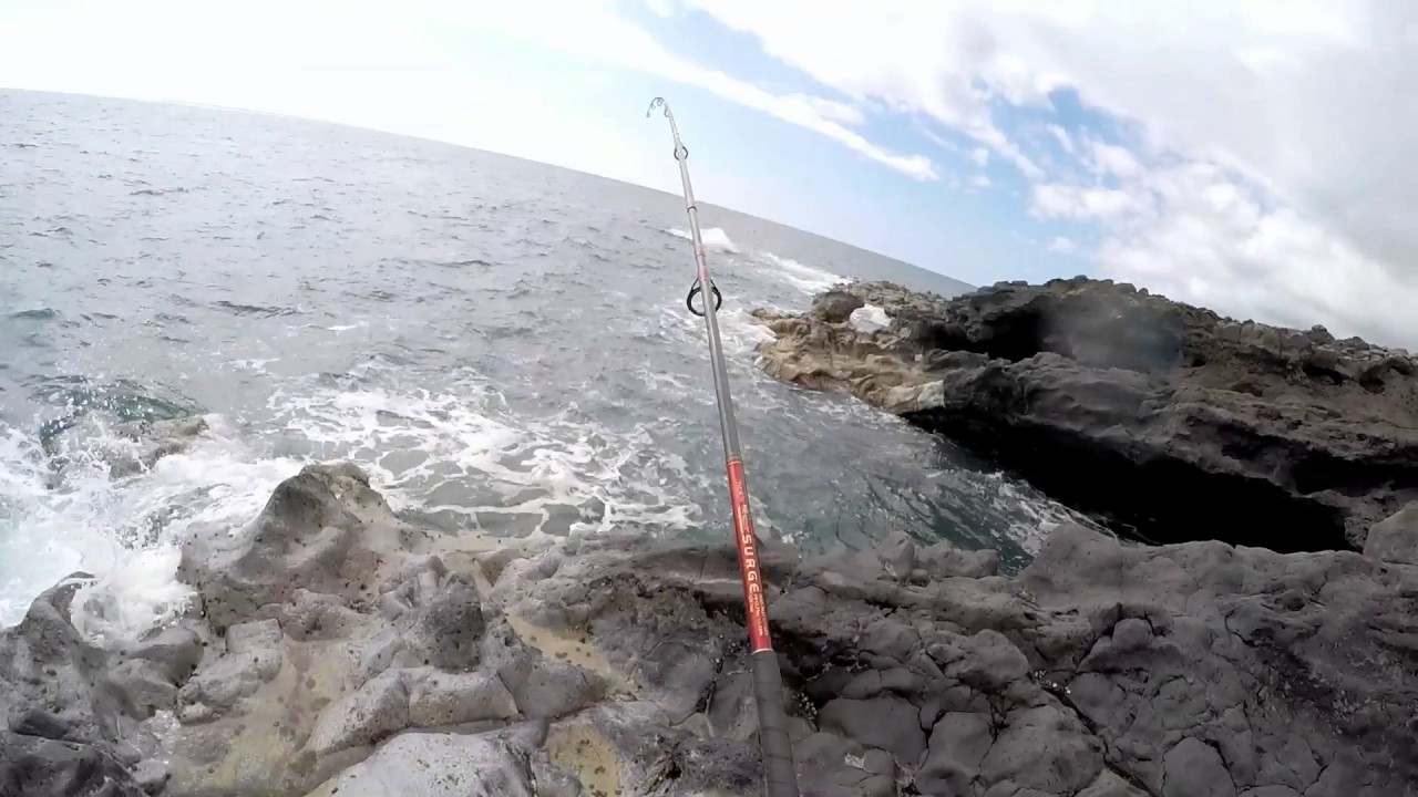 Small Papio on GT Ice Cream Lure - YouTube