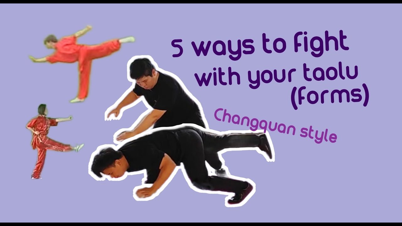5 ways to fight with your Taolu (form)- Changquan Long fist application ...