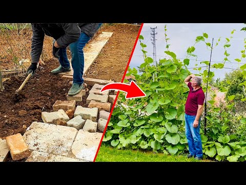Sıradışı 4 Fikir | Bahçenizde Kullanabileceğiniz Süper Fikirler