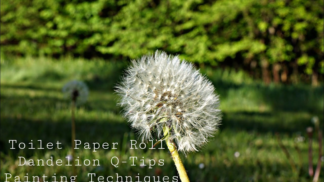 Toilet Paper Rolls Dandelion Q - Tips Painting Techniques - YouTube