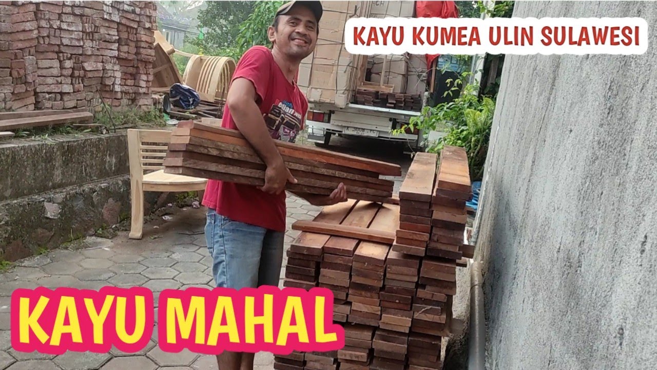 HARGA MAHAL KAYU KERAS MANTAP KAYU KUMEA ULIN SULAWESI KIRIM CIREBON H ...
