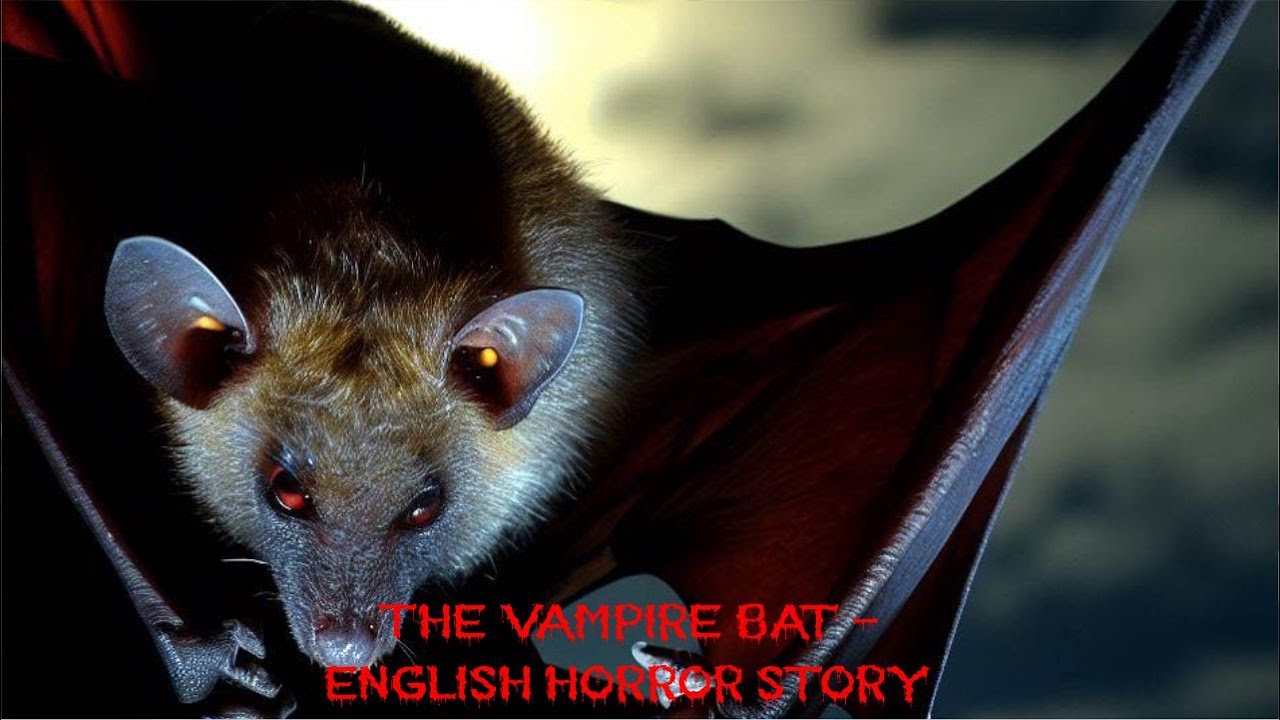 The Vampire Bat - English - Horror Story - Learn English - YouTube ...