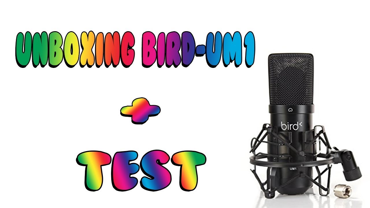 UNBOXING BIRD UM1 + TEST - YouTube