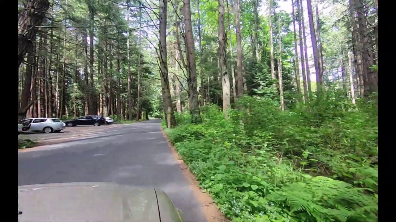 Beautiful PNW - YouTube
