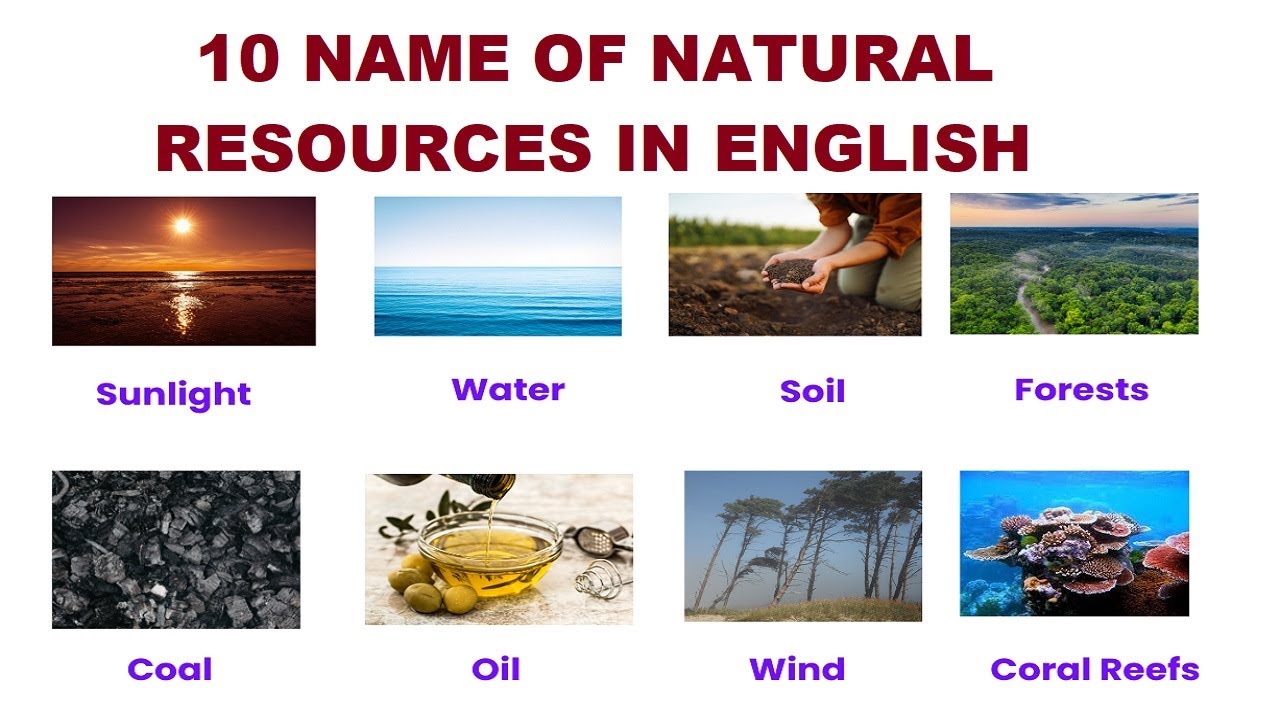 10 NAME OF NATURAL RESOURCES IN ENGLISH | LIST OF 10 NATURAL RESOURCESS ...