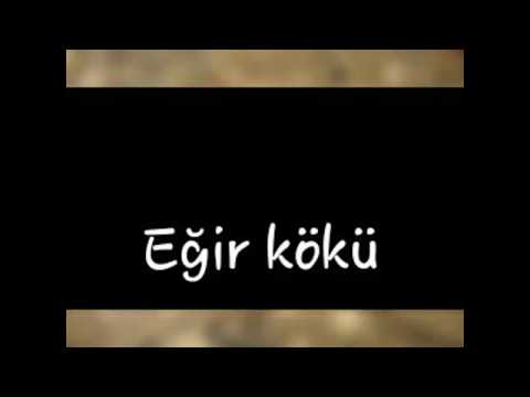 Eğir kökü faydaları