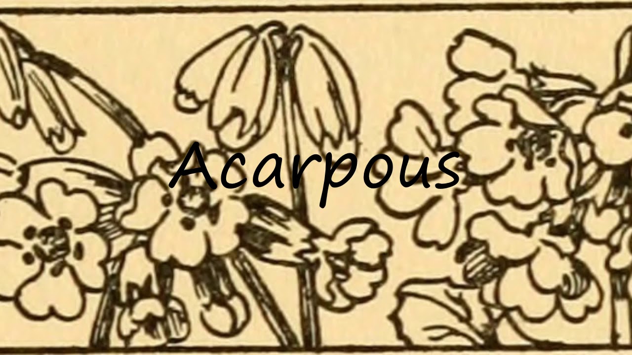 How to Pronounce Acarpous? - YouTube