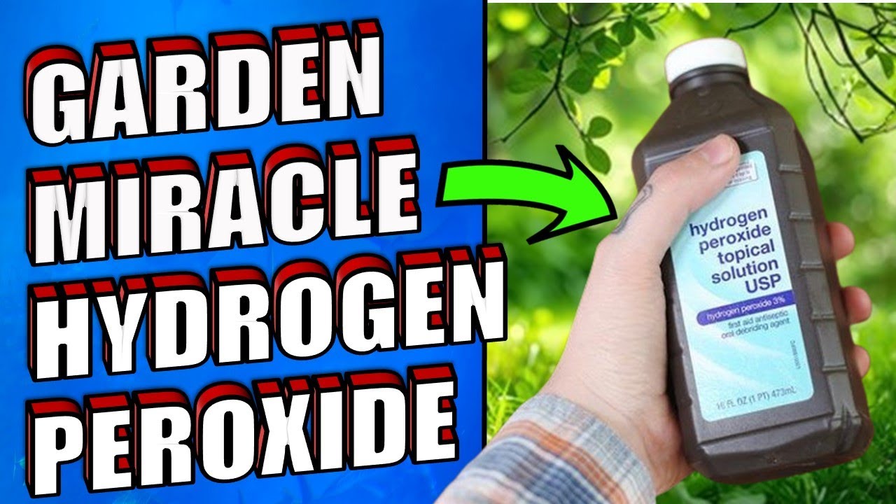 Garden Secrets: Hydrogen Peroxide for Pest, Mold and Fungi Control ...