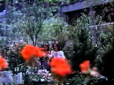 Rhoda opening and closing - YouTube