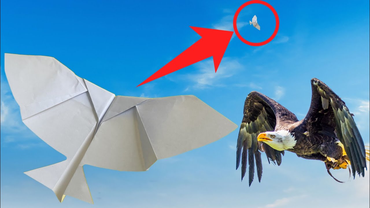 How to Make Paper Airplane Bird that Fly Far as an Eagle - Over 350 ...