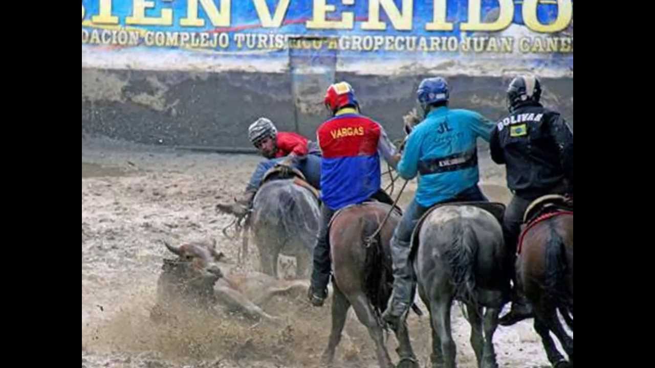 Toros Coleados - YouTube