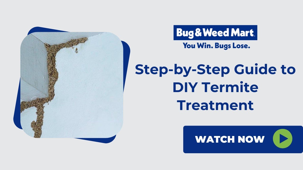 Step-by-Step Guide to DIY Termite Treatment - YouTube