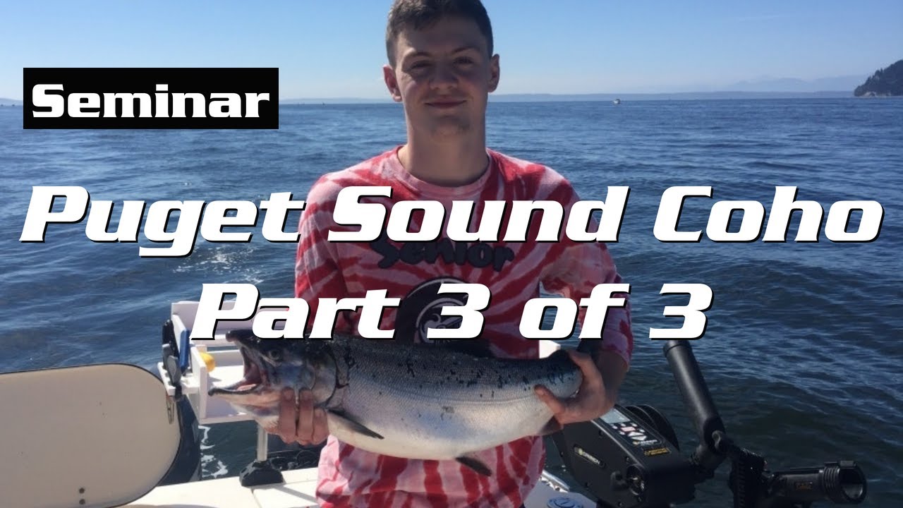 Puget Sound Coho Part 3 of 3 - YouTube