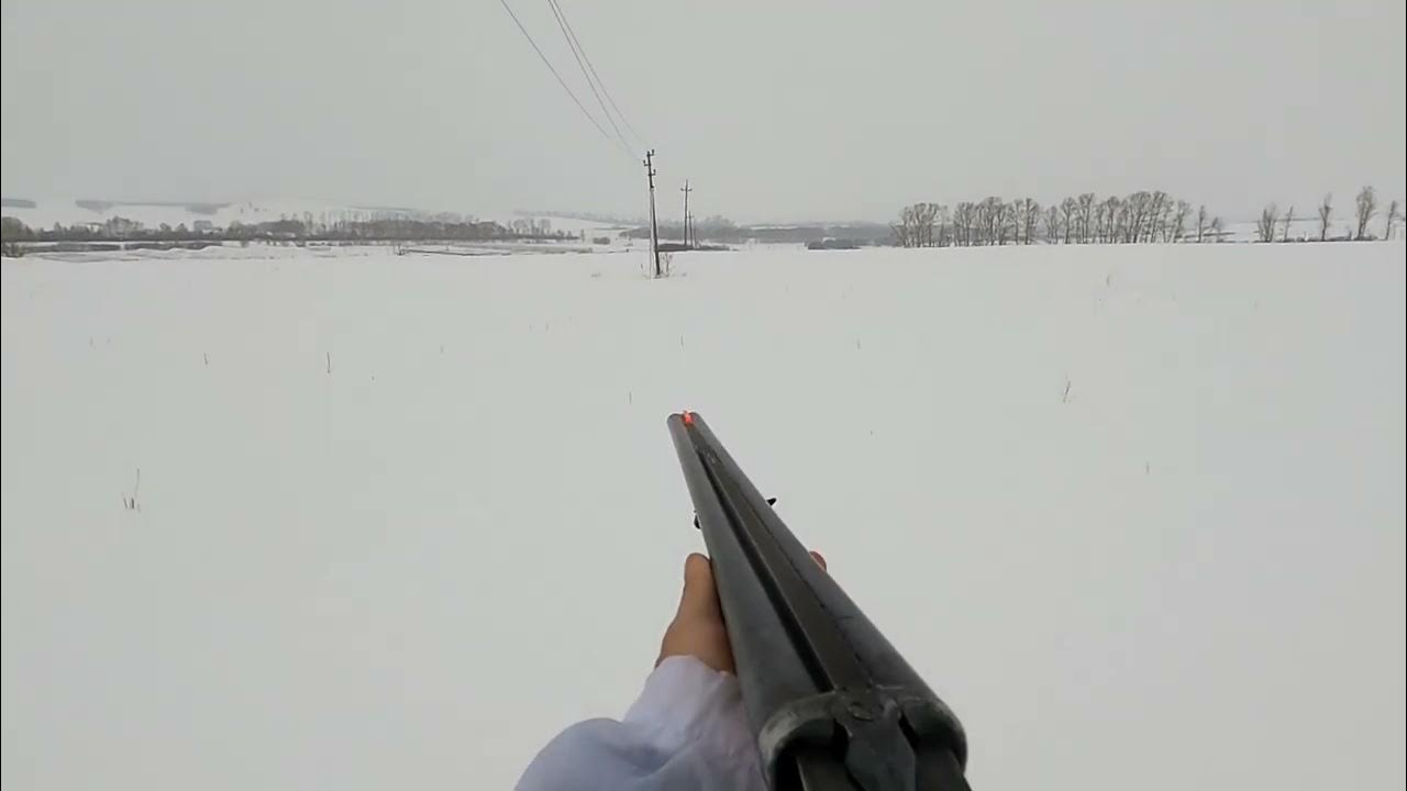 это была славная охота. заяц вышел на номер - YouTube