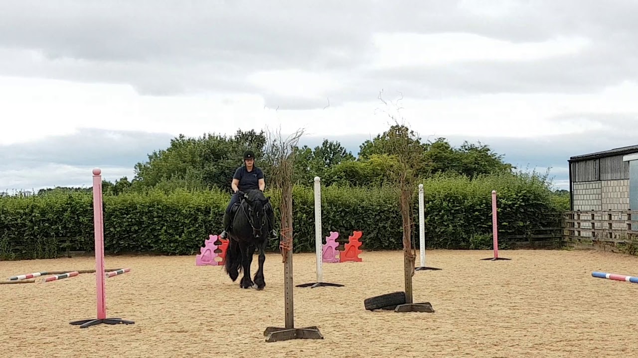 Anna & Merlin TREC Open - Part 1June 2020 - YouTube