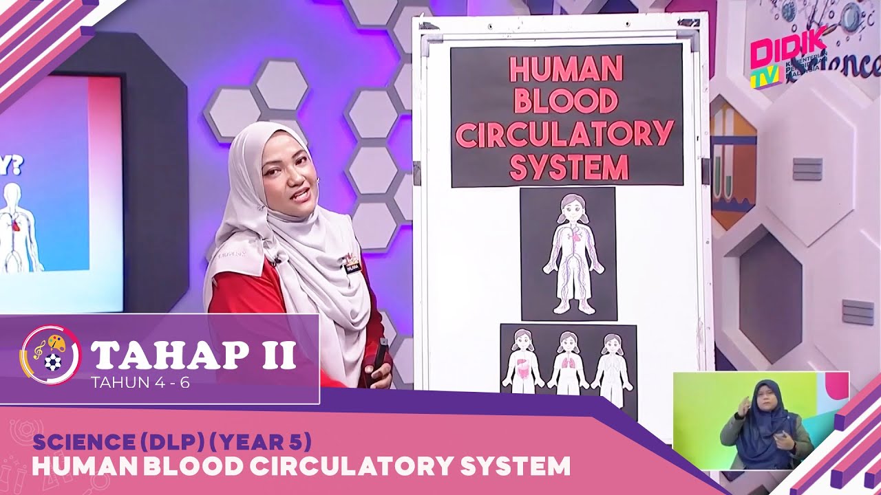 Tahap II (2022) | Science (DLP) (Year 5): Human Blood Circulatory ...
