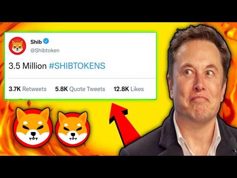 *MUST WATCH* SHIBA INU CEO HAS A MESSAGE TO ALL SHIB HODLERS!!! - Shiba Inu Coin News Today ...