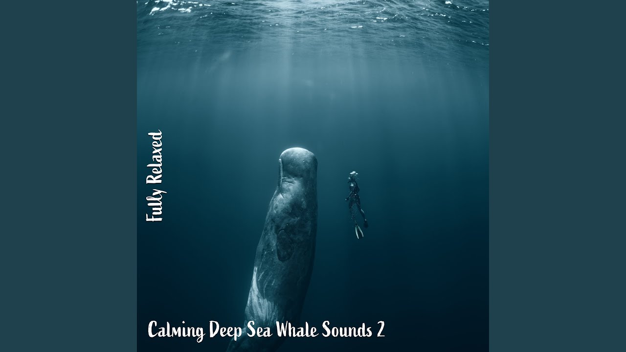 Calming Deep Sea Whale Sounds, Pt. 13 - YouTube