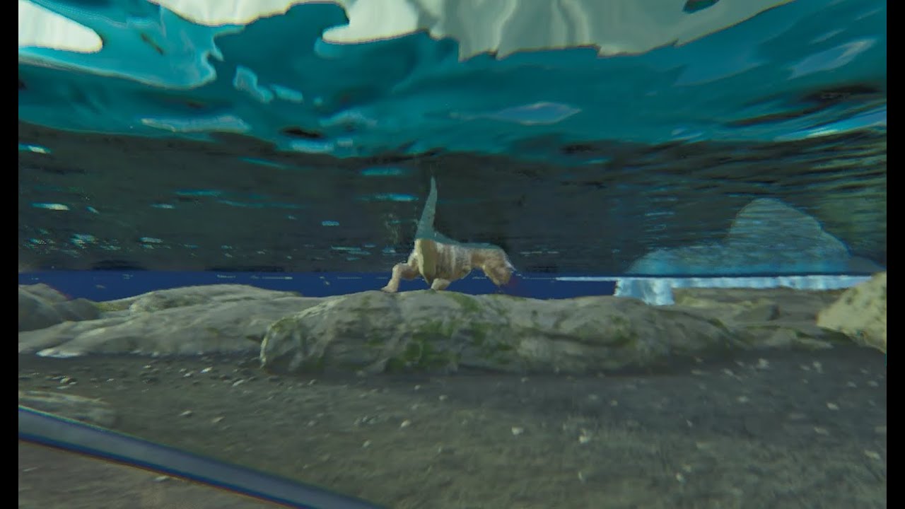 The Carno has become a FISH and then he's GONE - YouTube