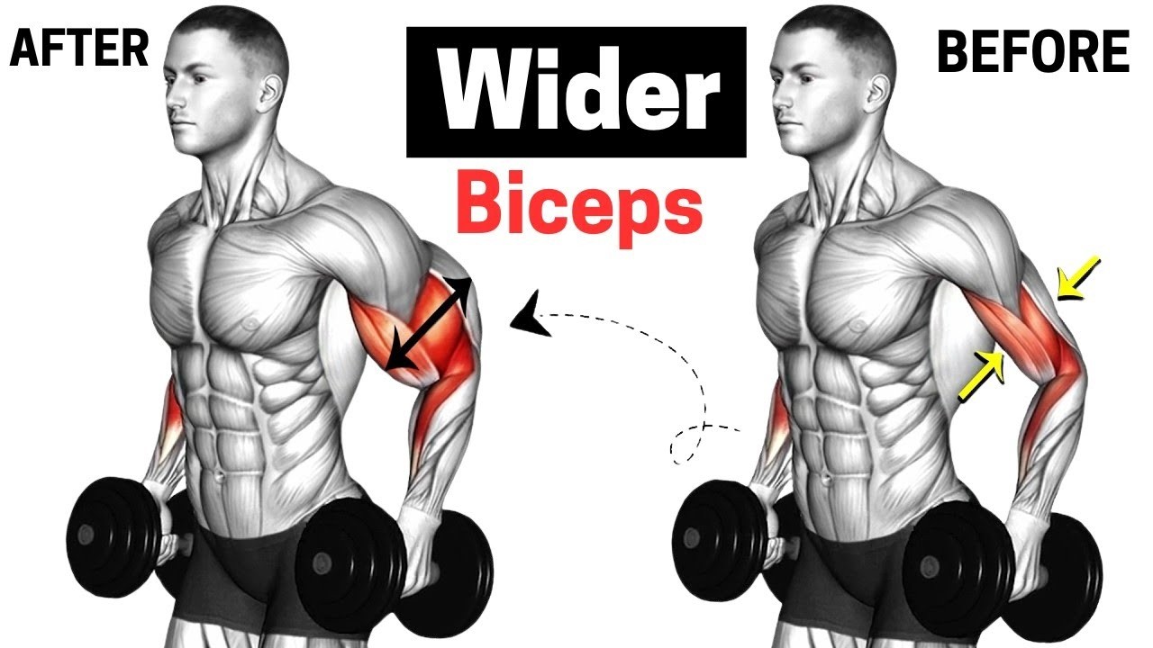 Top 8 Best Biceps And Triceps Workouts For Bigger Arms | Arm Workout ...