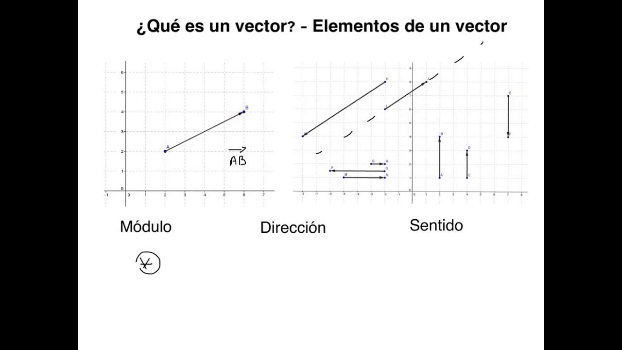 ¿Qué es un vector?. Sus elementos - YouTube