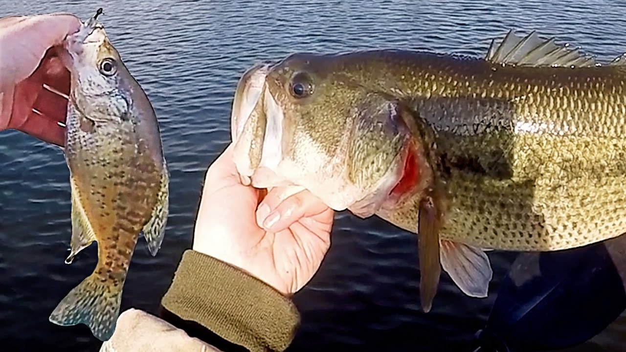 March Bass Fishing and March Crappie Fishing IN ONE TRIP - YouTube