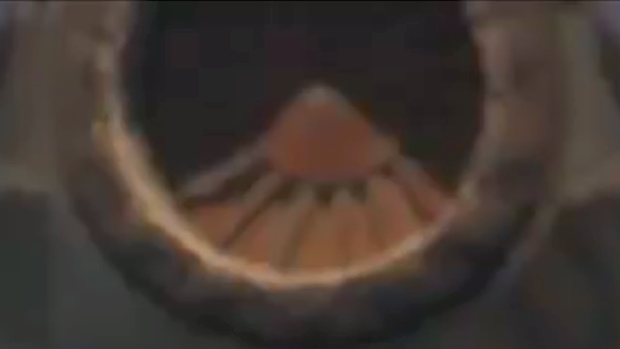 F-35C Variable AB Then F-35B F135 Rear End View Running - YouTube