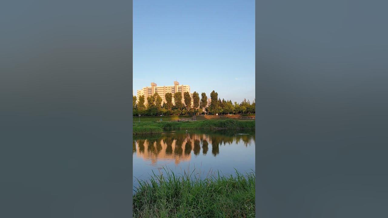 π λͺ¨λ μμ μ μ£Όλκ» λλ¦¬κ³ Youtube