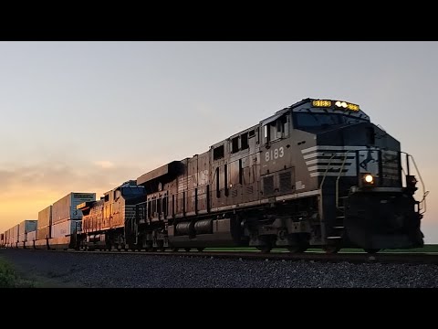 NS 8183 In the Sunset - YouTube