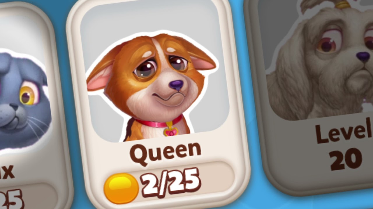 Solitaire Pets Fun Card Game Video - YouTube