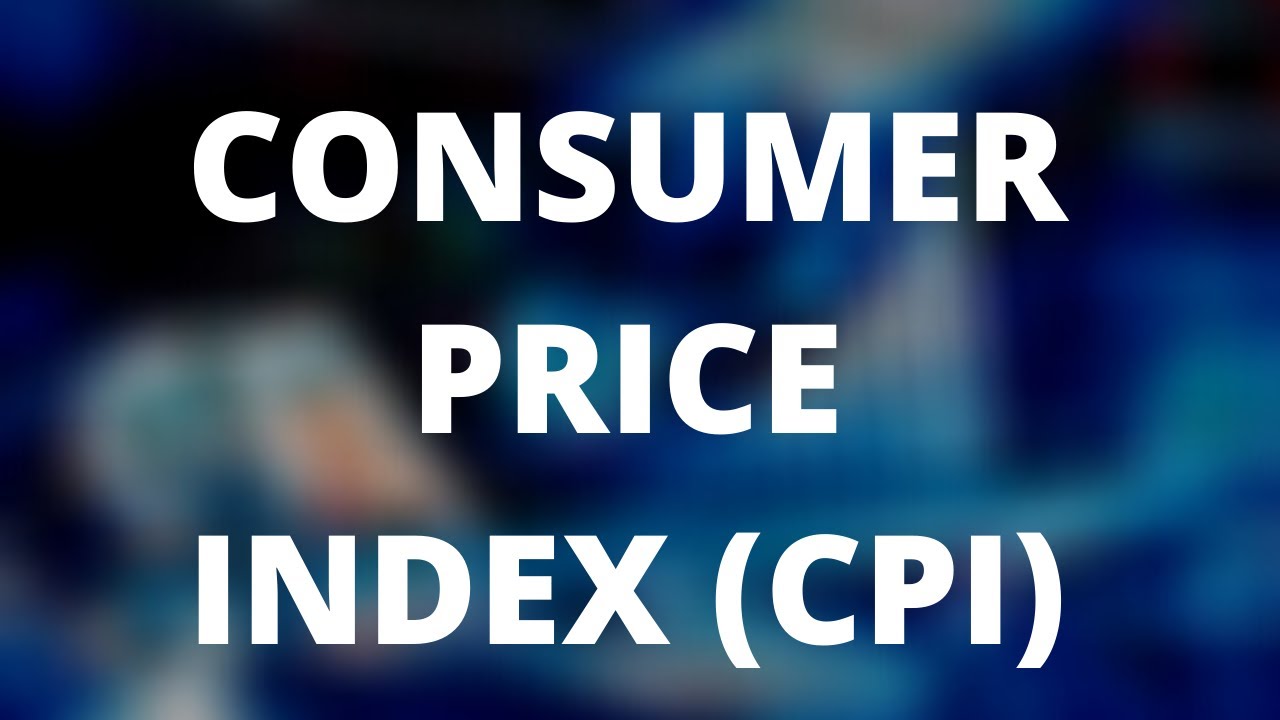 CONSUMER PRICE INDEX || CPI AND WPI || WHOLESALE PRICE INDEX ...