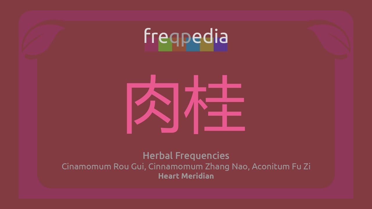 arterial circulation stimulant Rou Gui, Zhang Nao, Fu Zi - YouTube