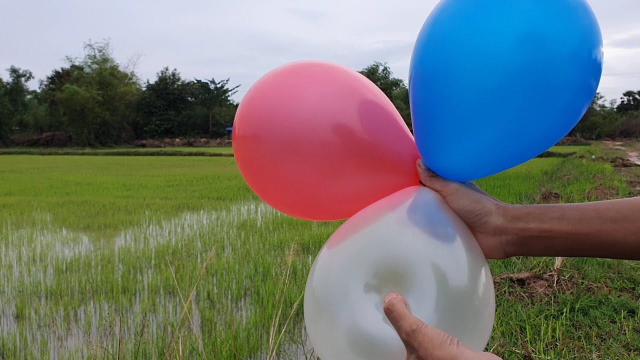 outdoor fun with balloon pop, popping balloons, learn colours, balloon ...