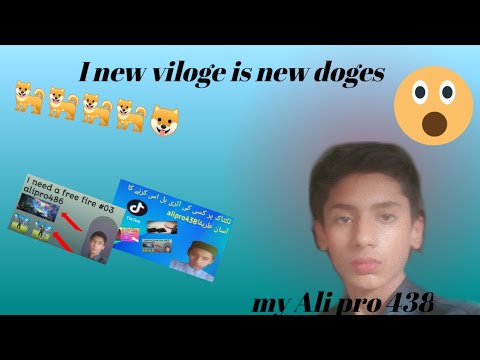 I need a new doges Ali pro 438