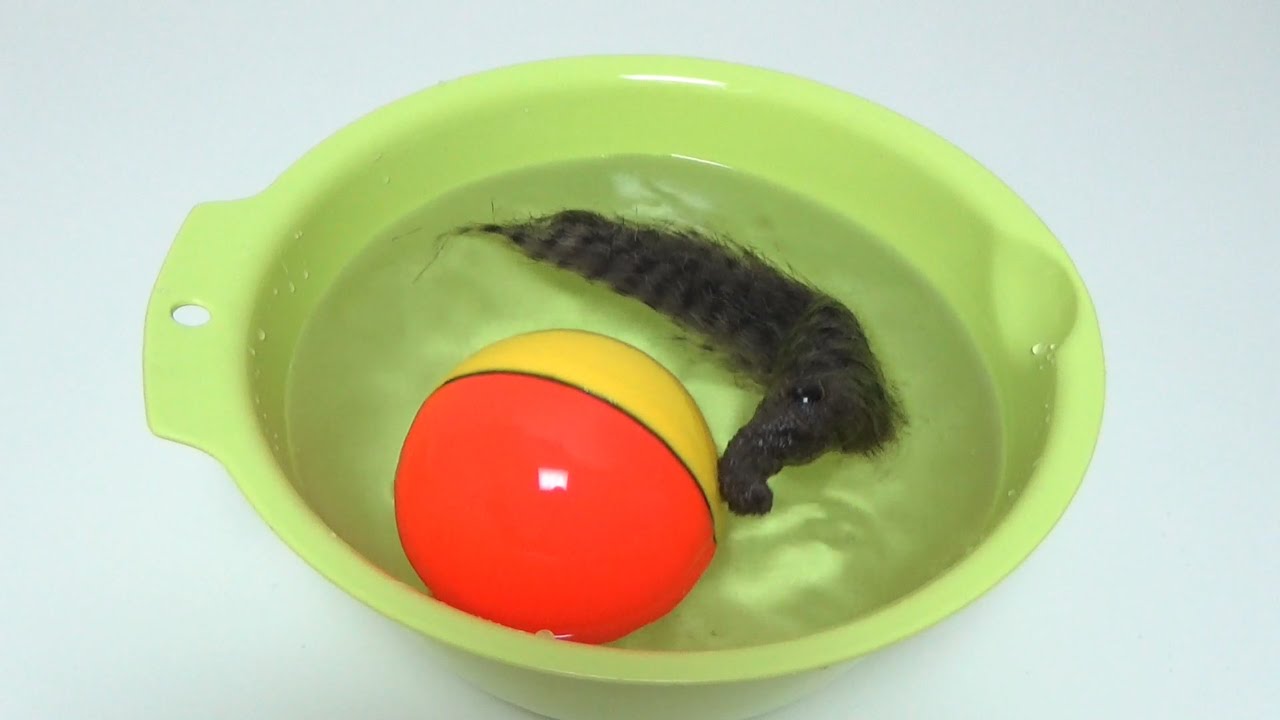 Swimming Beaver Ball Water pool Toy Unboxing Review - YouTube