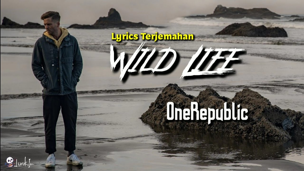 OneRepublic - Wild Life | Lyrics Terjemahan - YouTube