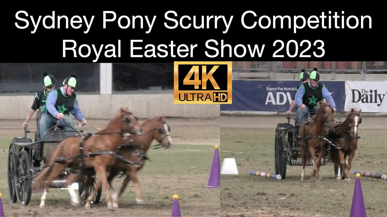 Sydney Pony Scurry Competition | Royal Easter Show 2023 | 4K Video ...