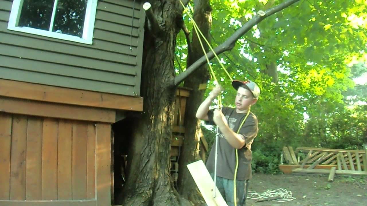 how to climb a tree without a harness - YouTube