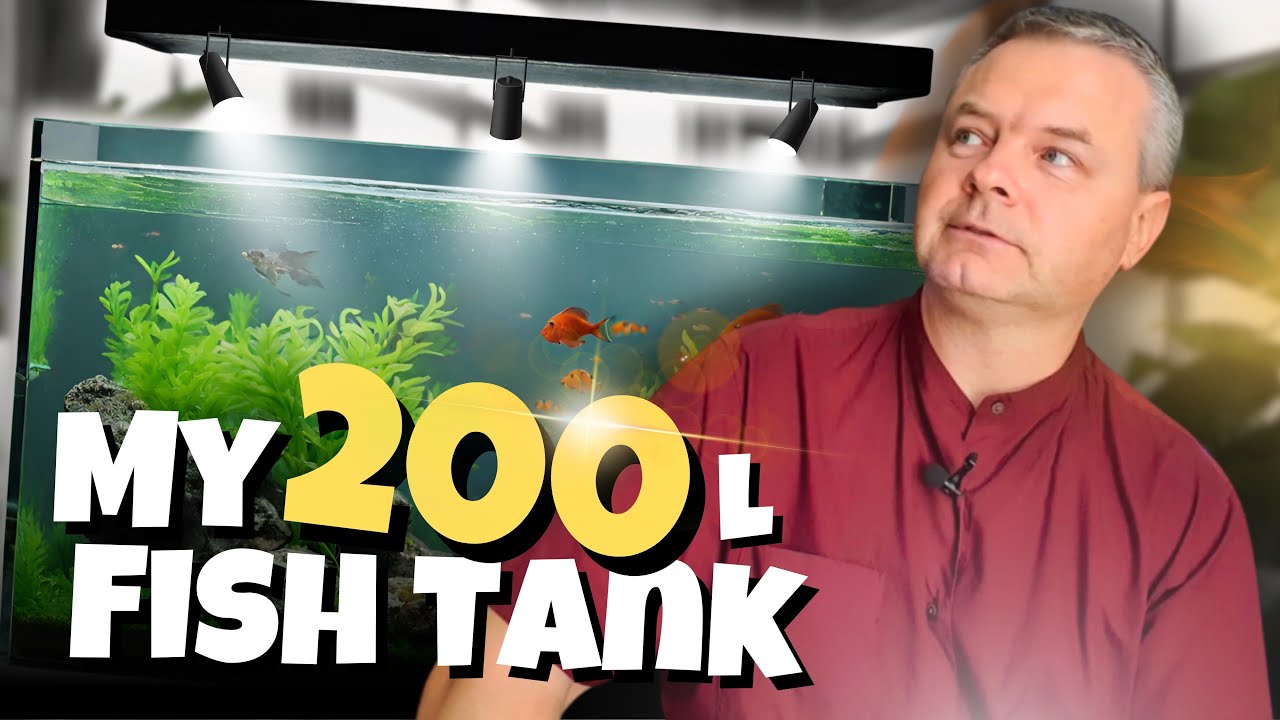 How to make a dream fish tank at home ? - YouTube