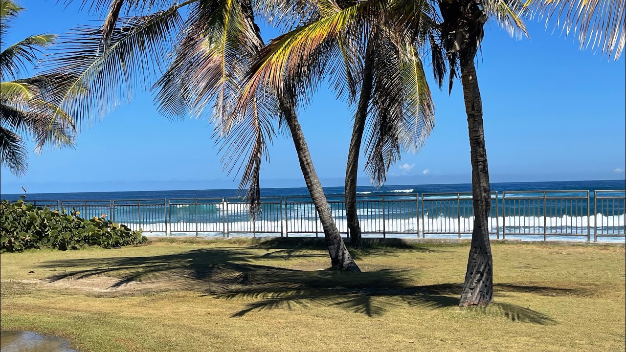 Puerto Rico- Long Layover 🏝️ - YouTube