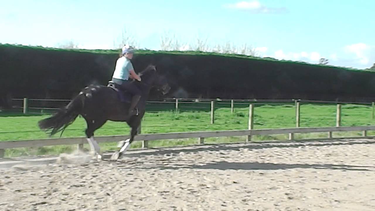 Cameo KSNZ jump 1 - YouTube