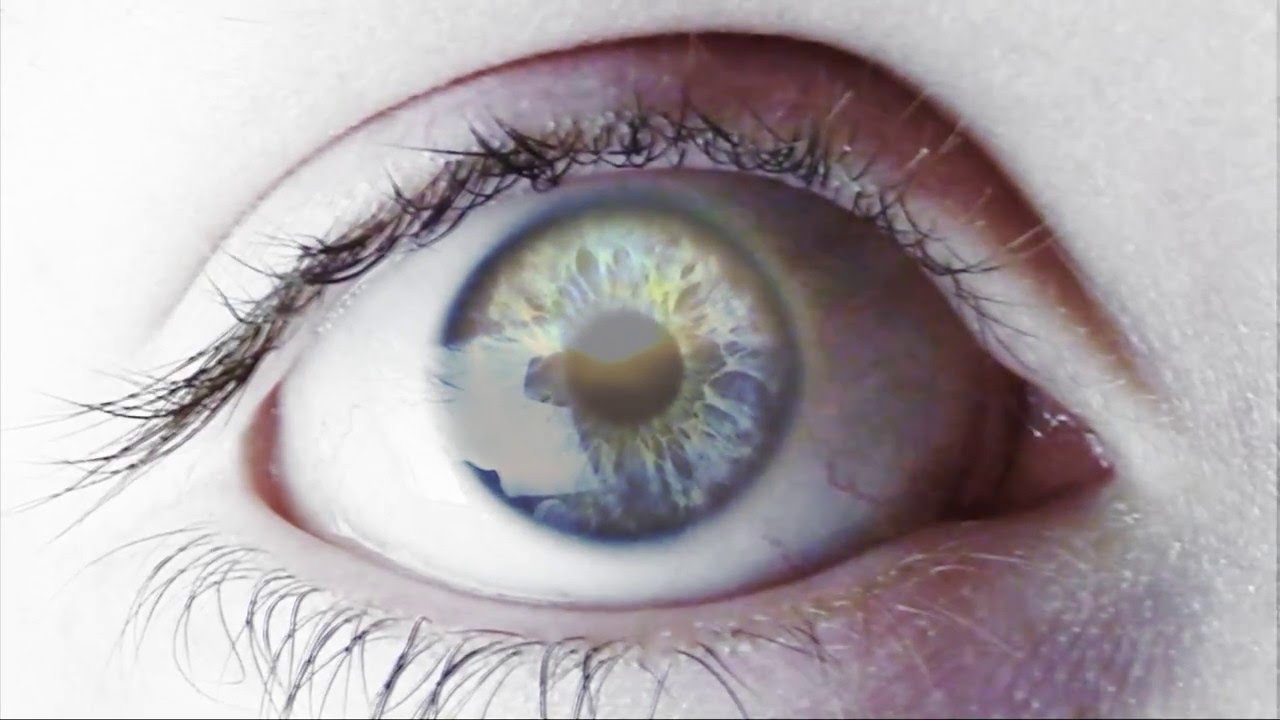 EYE VIDEO - YouTube