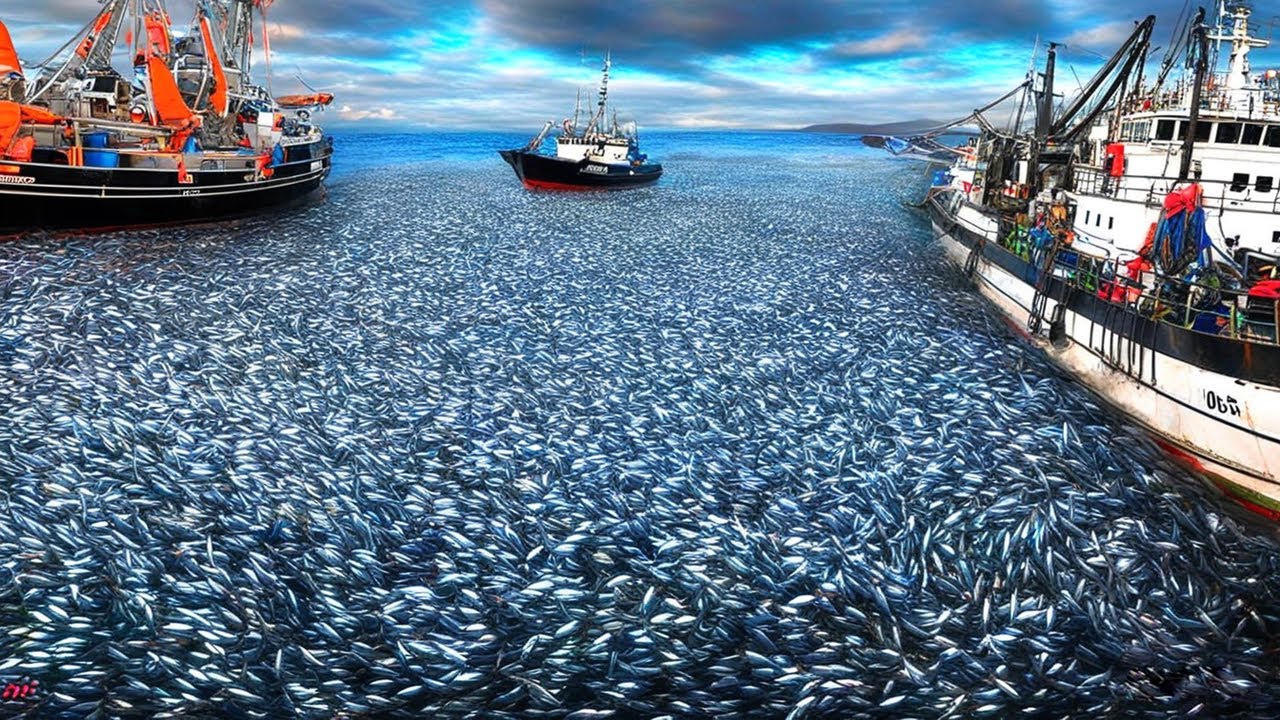 The truth behind the crazy way of catching, filtering and processing ...